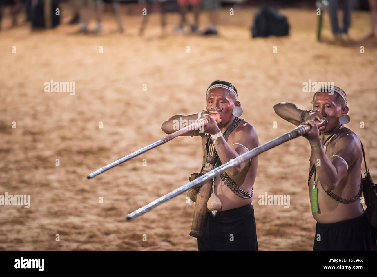 Matis brazil hi-res stock photography and images - Alamy