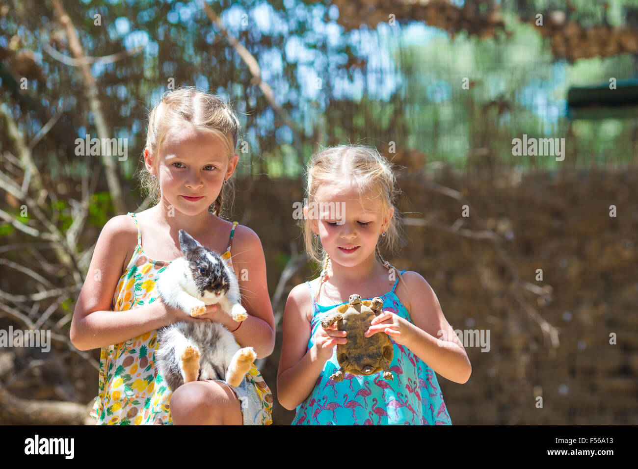 Little girl with a land tortoise and cute rabbit at the zoo Stock Photo ...