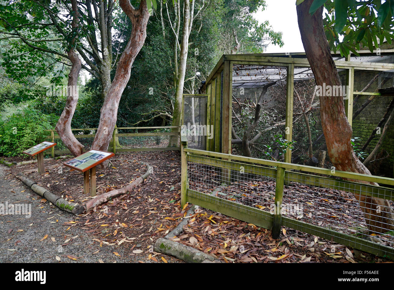 Red squirrel enclosure hi-res stock photography and images - Alamy