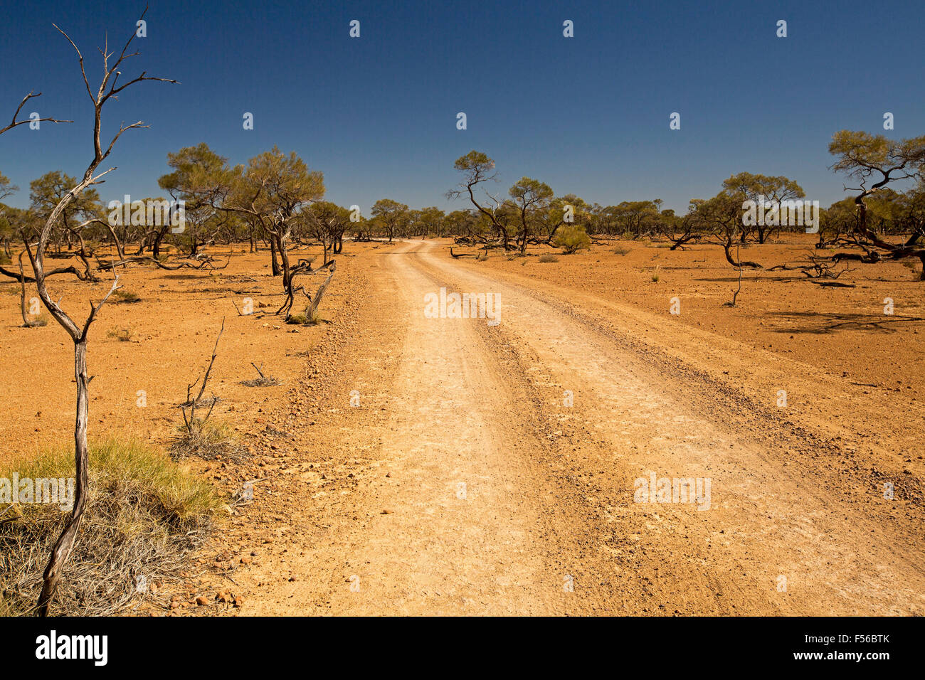 Long red outback road through arid landscape dotted with trees to ...