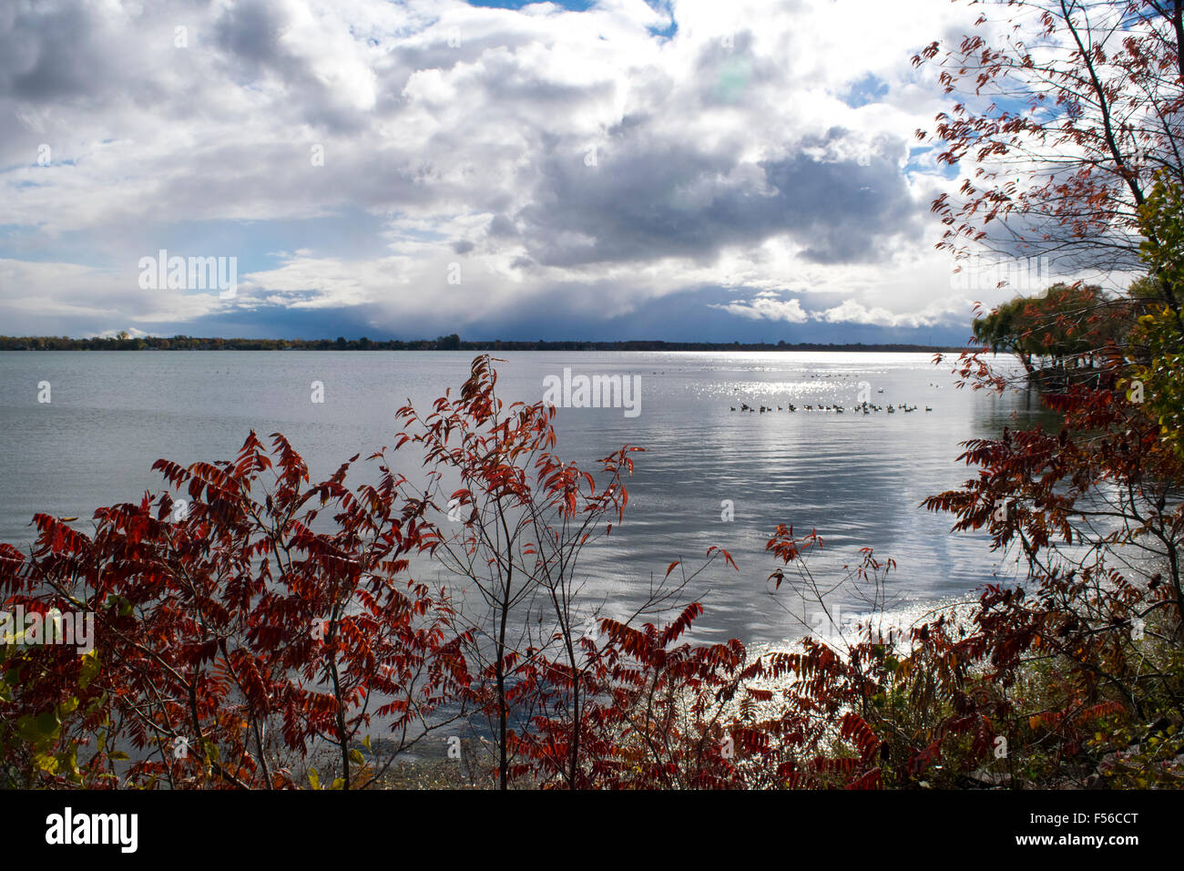 Storm clouds reflected in the St. Lawrence River Stock Photo - Alamy