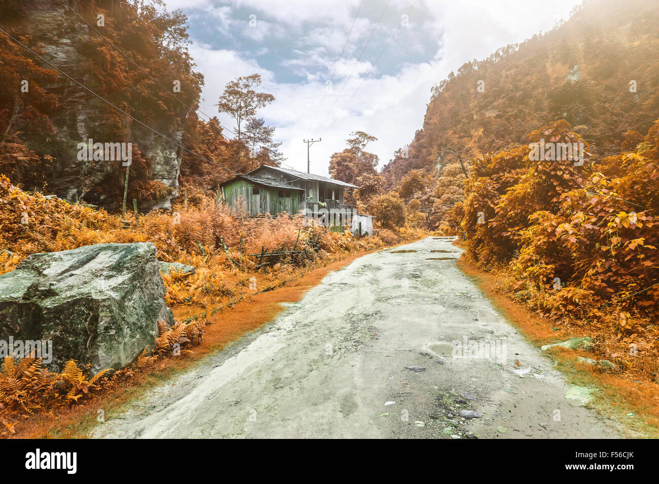 rural road in Nepal Stock Photo - Alamy
