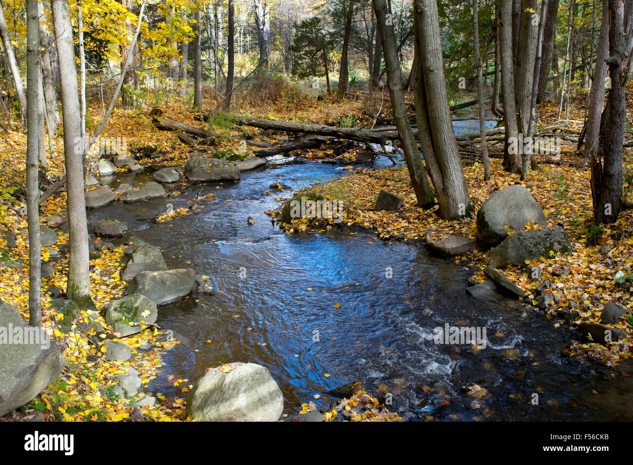 Wending its way hi-res stock photography and images - Alamy