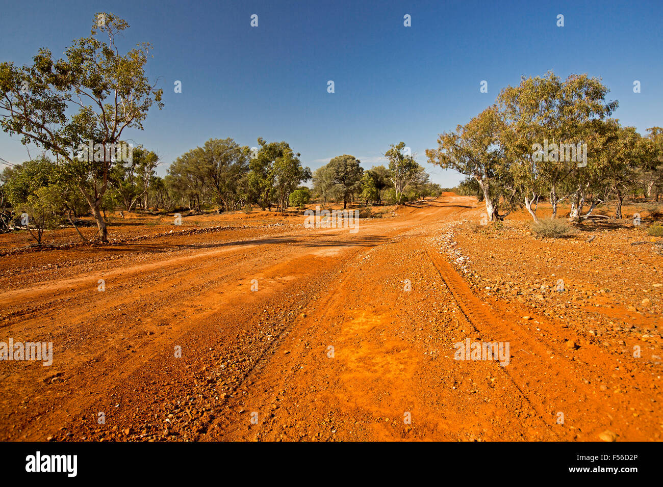 Arid woodlands hi-res stock photography and images - Alamy