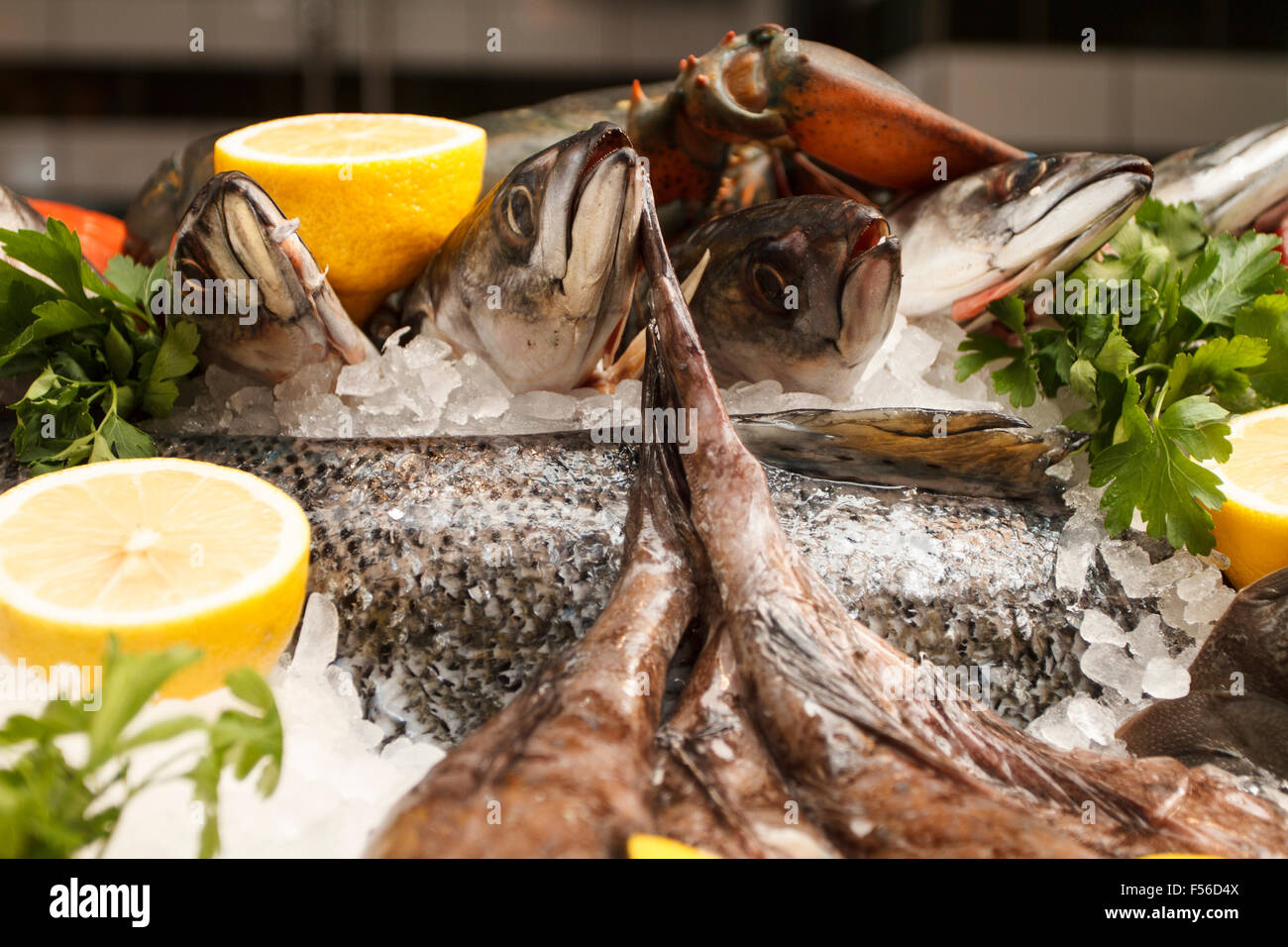 Fish display in-front of the Kitchen of Then World's End Market, a bar ...