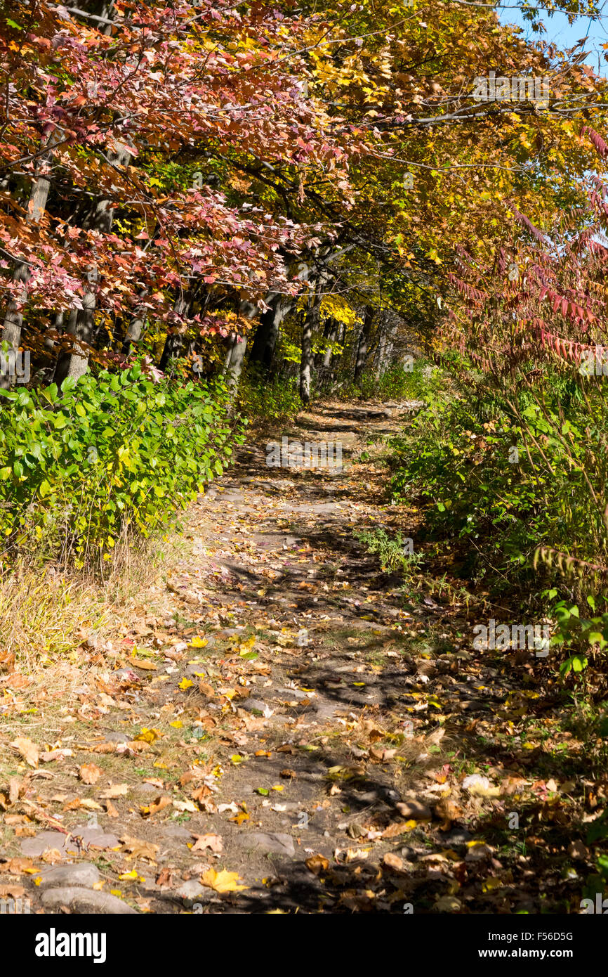 The trail in autumn Stock Photo - Alamy