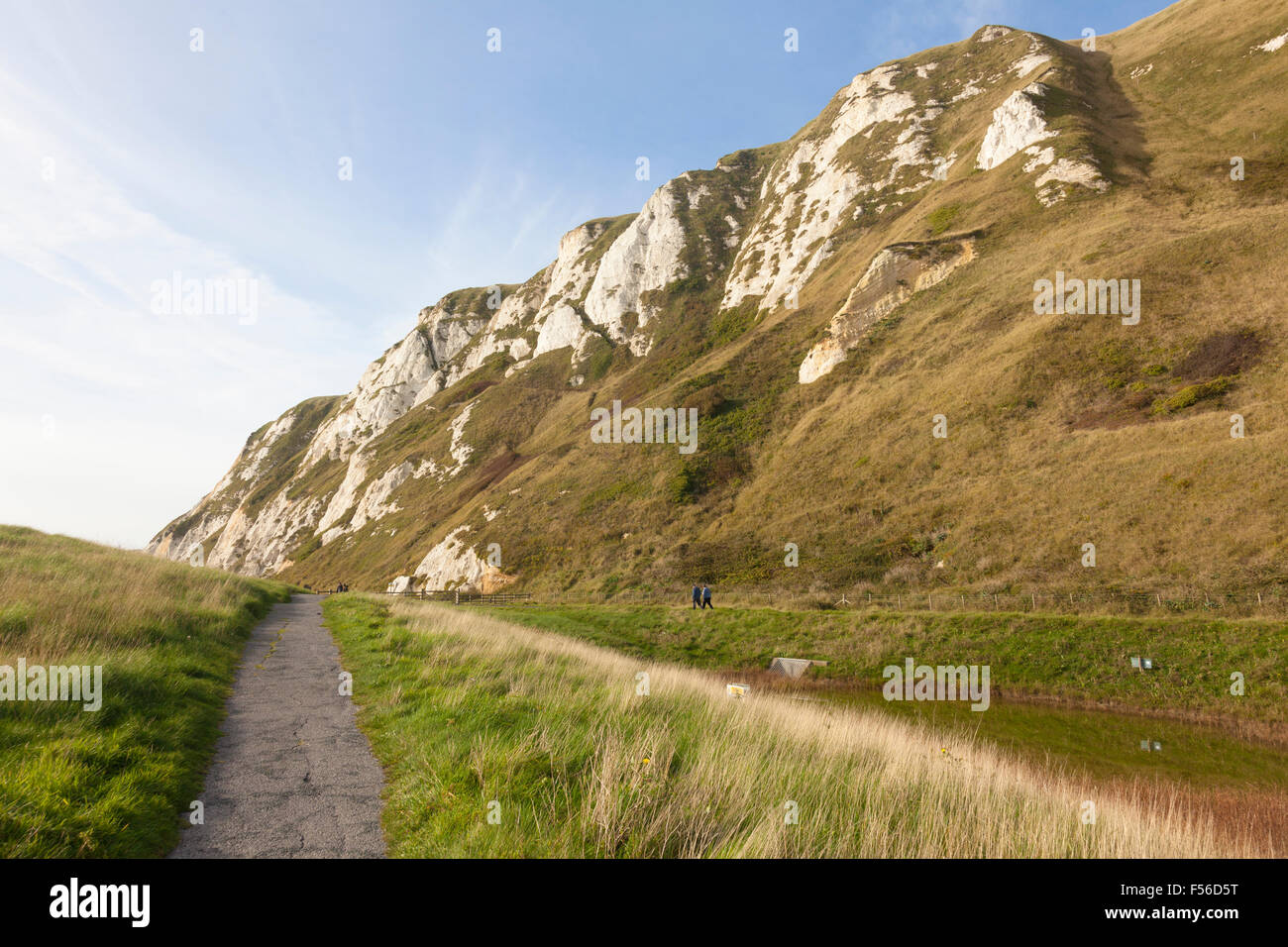 Chalk soil grassland hi-res stock photography and images - Alamy