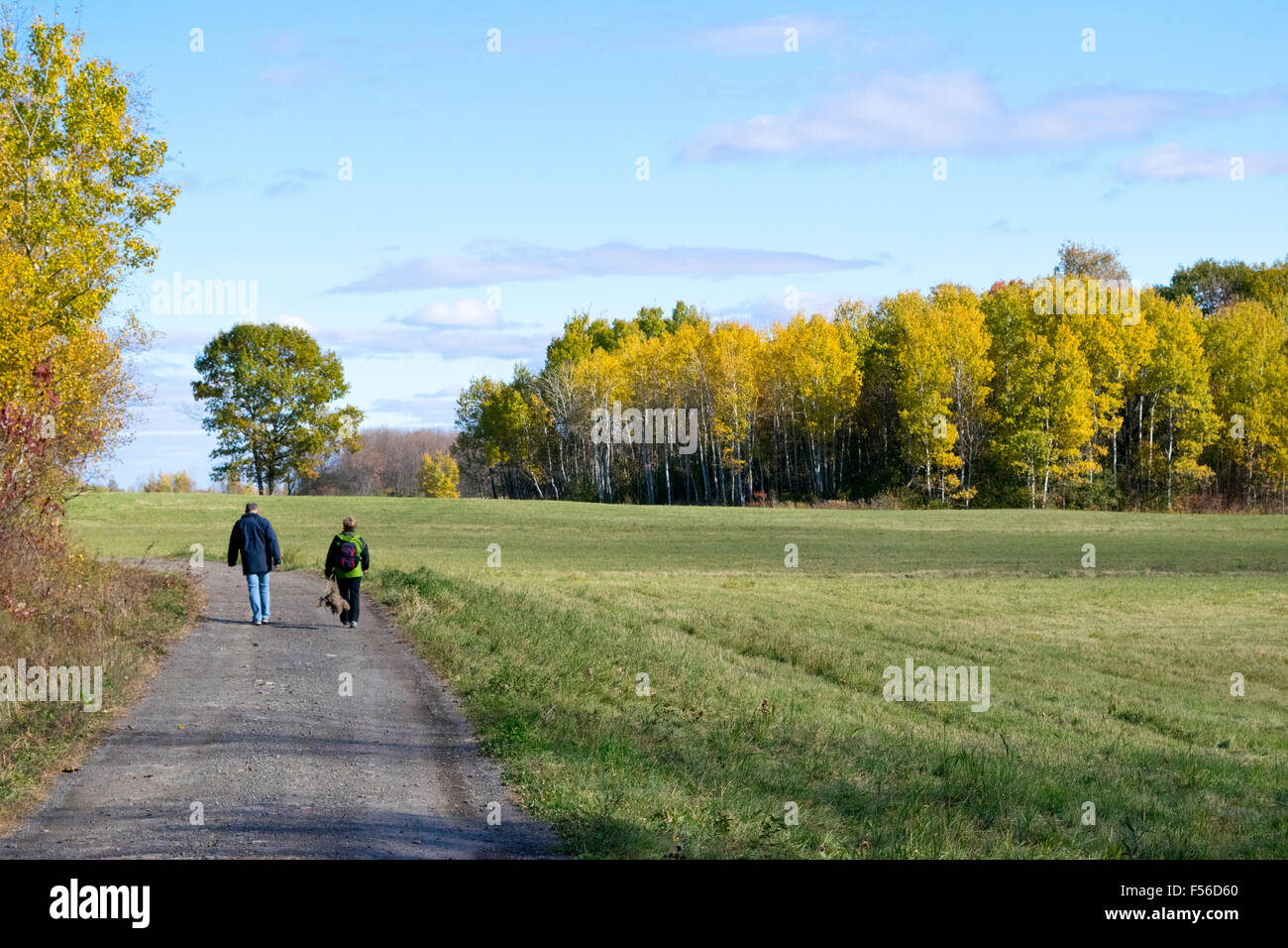 Quebec country road hi-res stock photography and images - Alamy