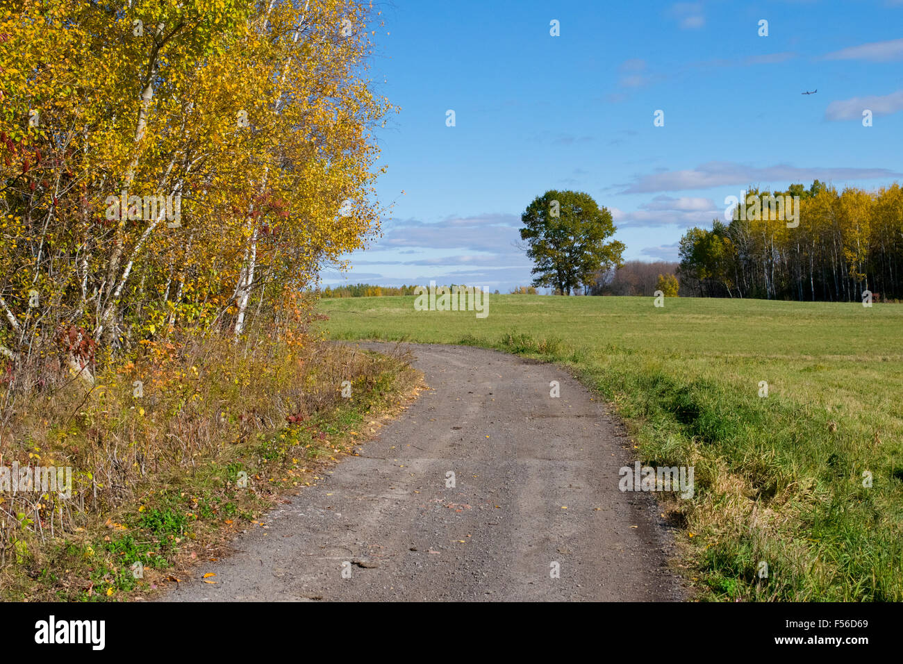 The country road in autumn Stock Photo - Alamy