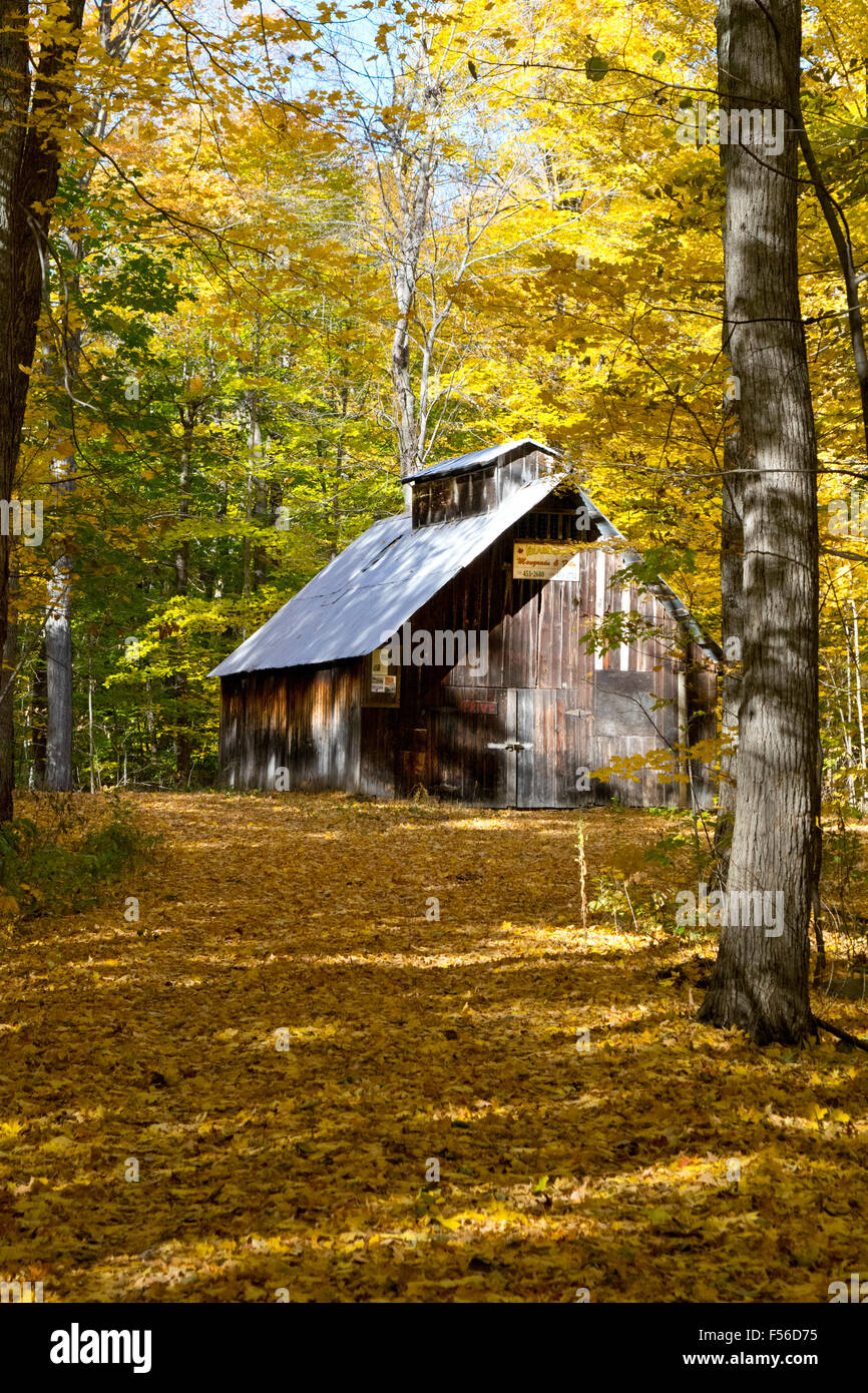 The sugar shack in autumn Stock Photo - Alamy