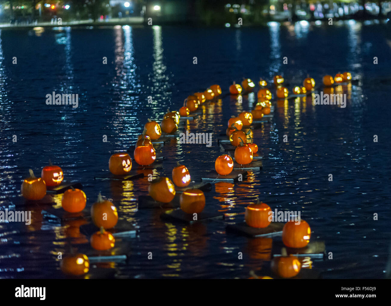 Illuminated carved pumpkins are towed across the Harlem Meer for the ...