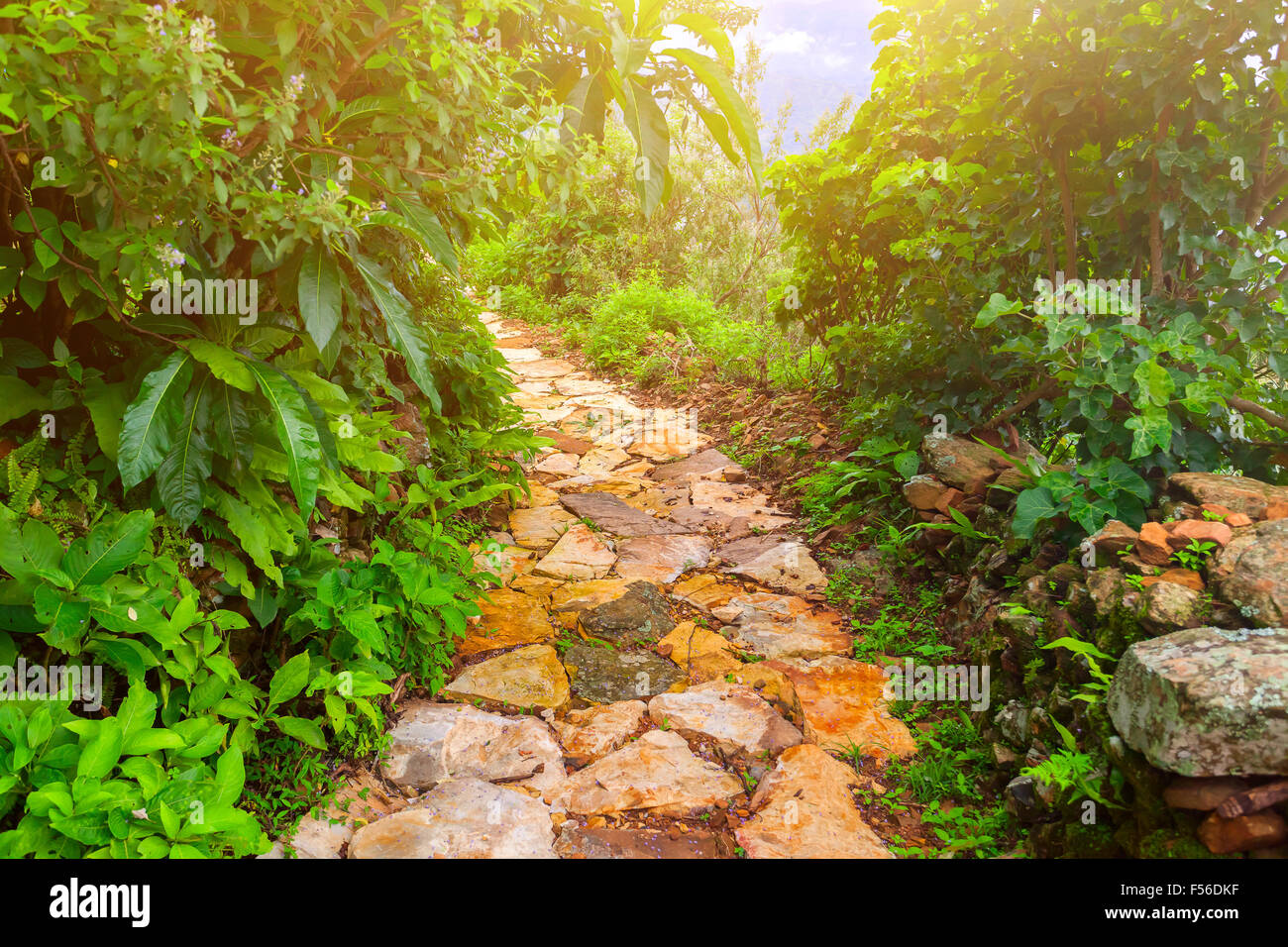 stone road in Nepal Stock Photo - Alamy
