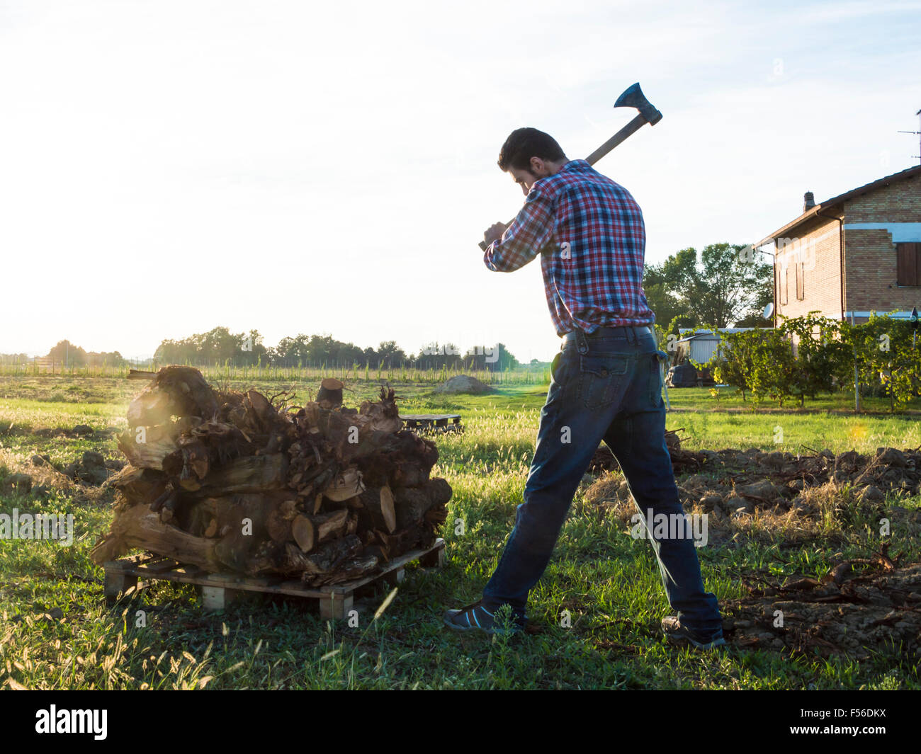 Farmer with axe hi-res stock photography and images - Alamy