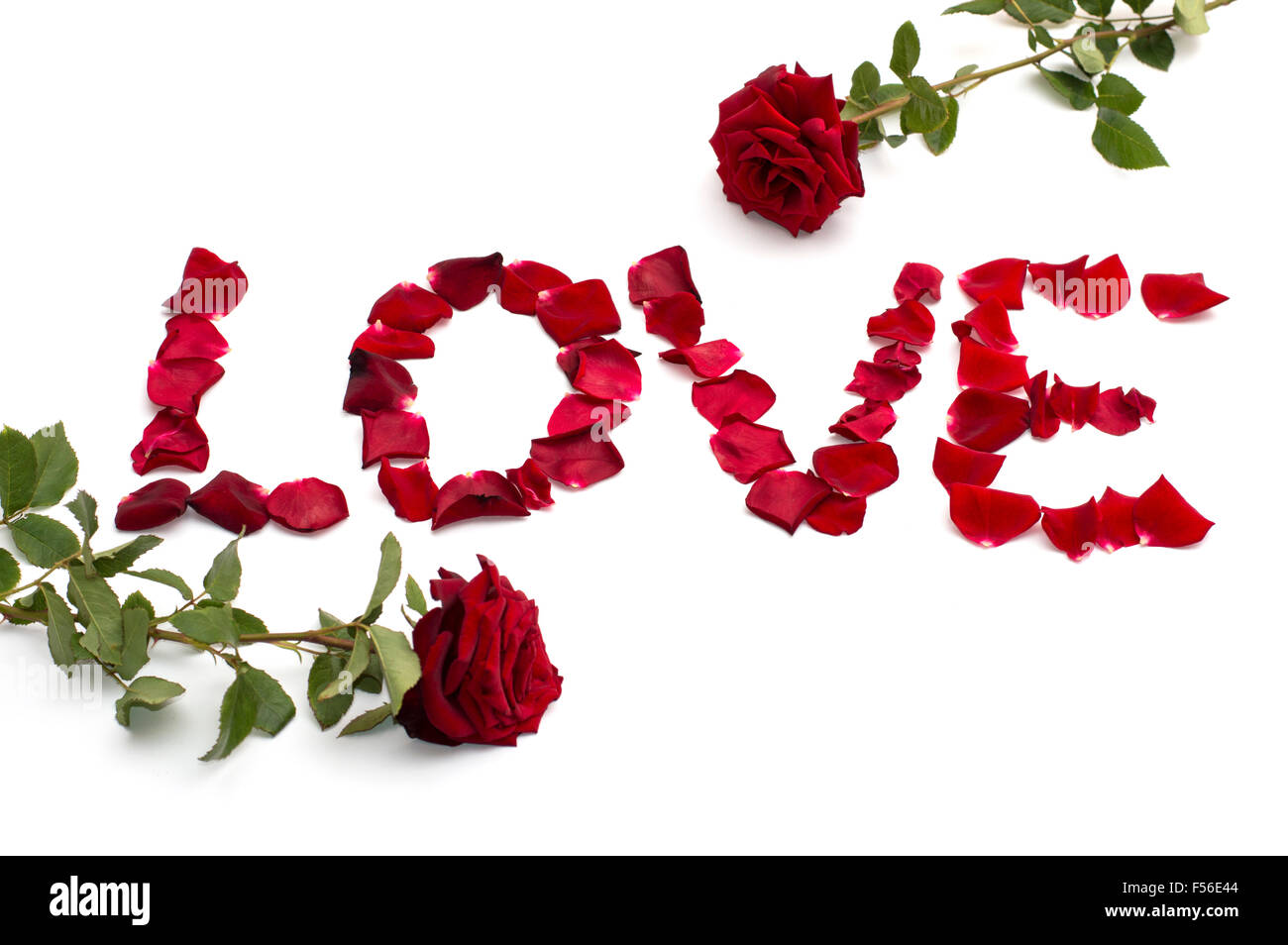 inscription love from petals of roses, and two roses from above and ...