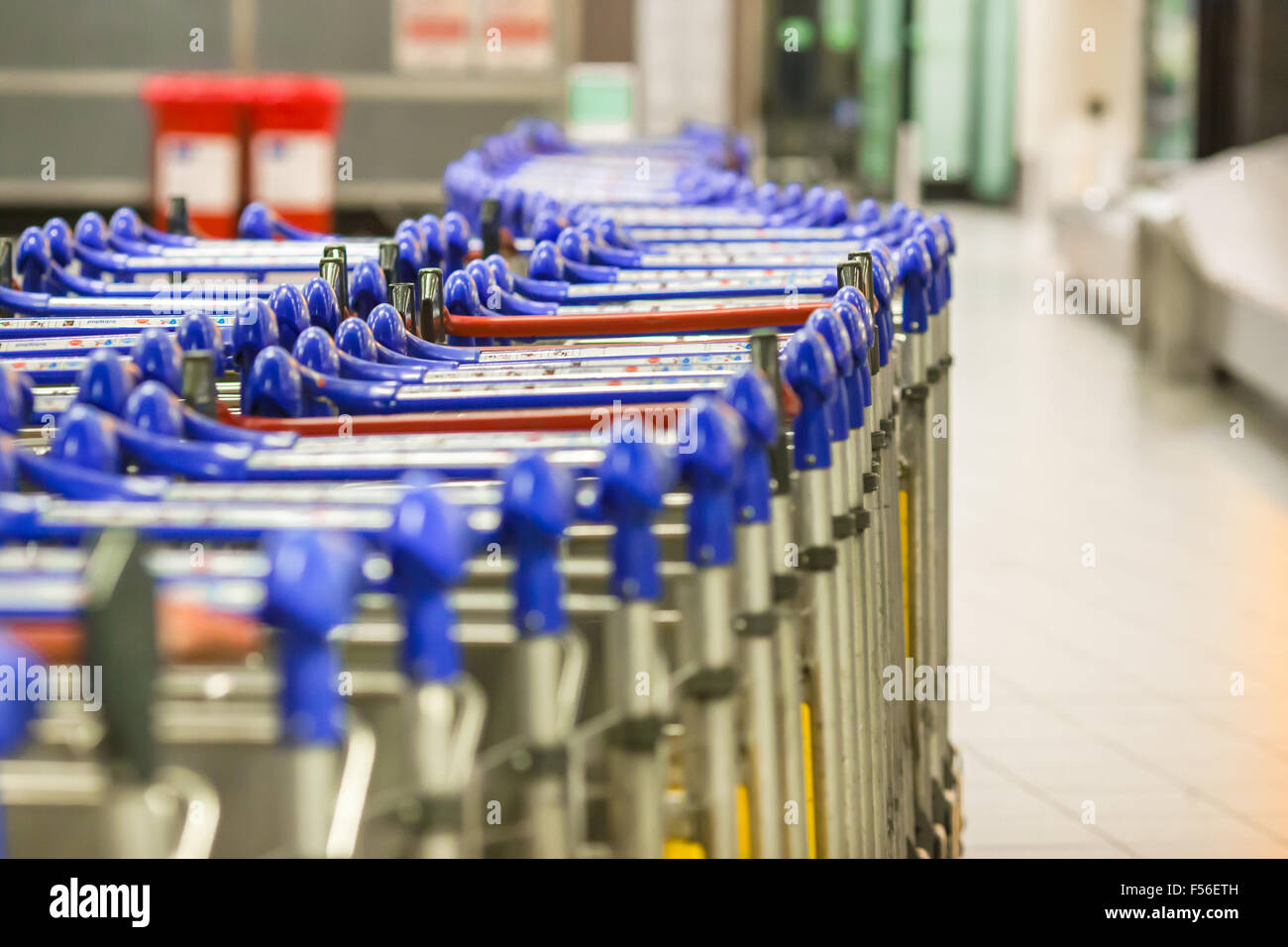 Luggage carts at modern international airport inside Stock Photo - Alamy