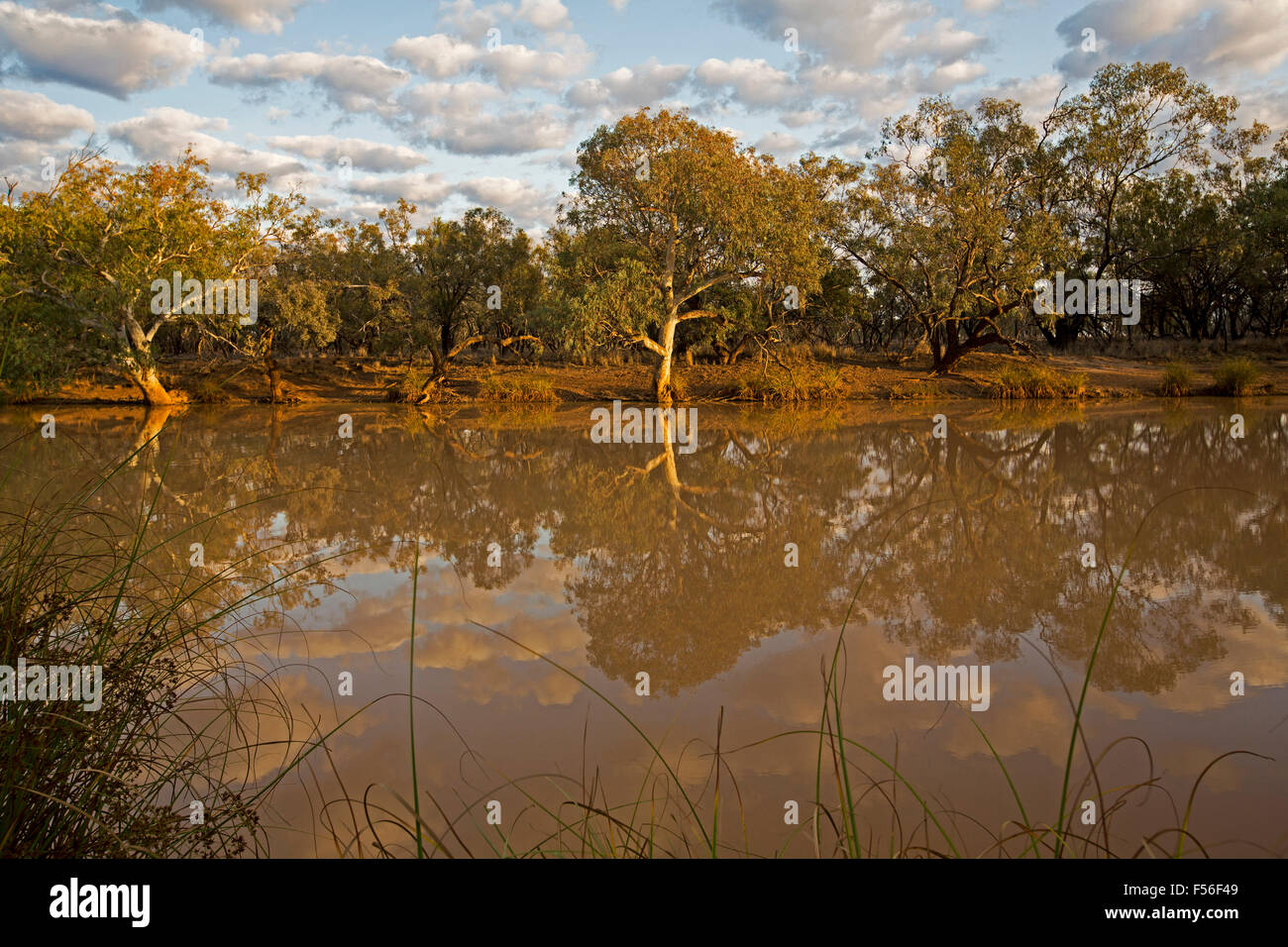 Paroo River with native gum trees and blue sky reflected in calm water ...