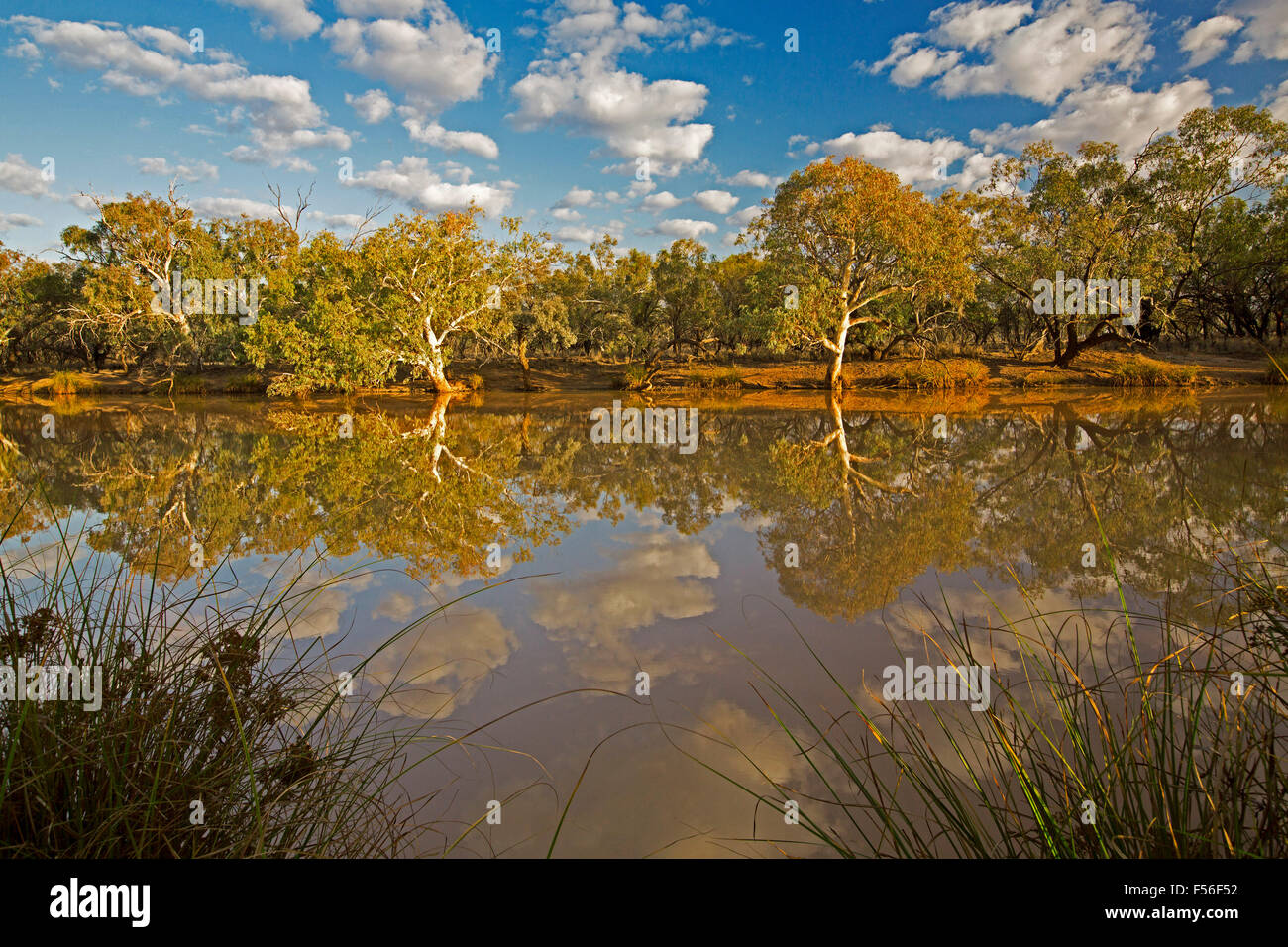 Paroo River with native gum trees and blue sky reflected in calm water ...