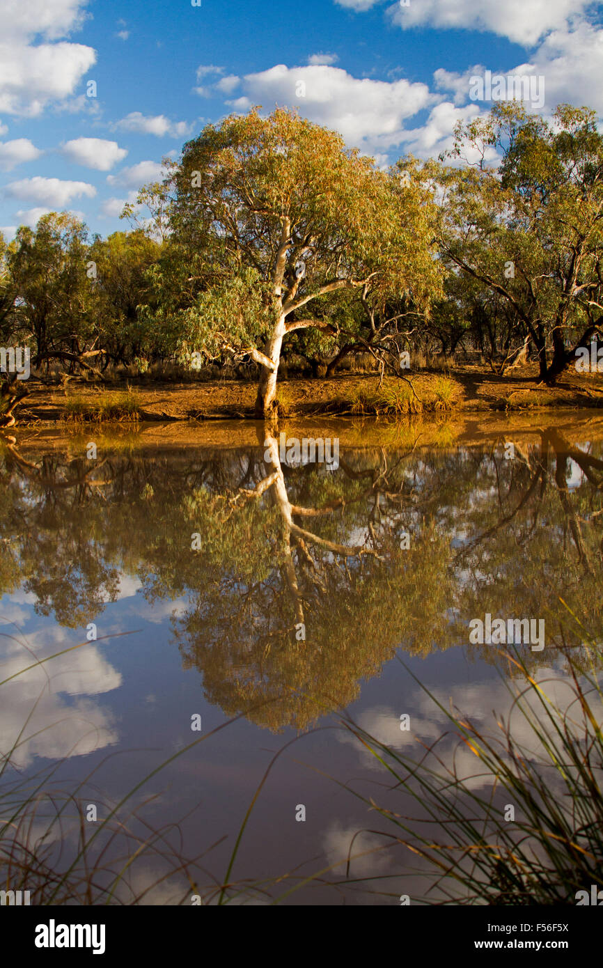 Paroo River with native gum trees and blue sky reflected in calm water ...