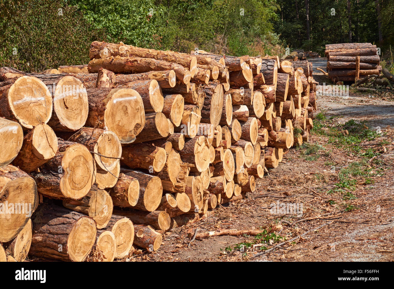 Stacked natural log trees hi-res stock photography and images - Alamy