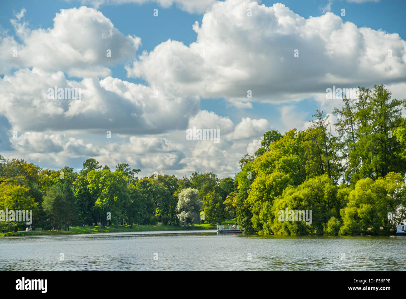 Beautiful russian landscape with willows Stock Photo - Alamy