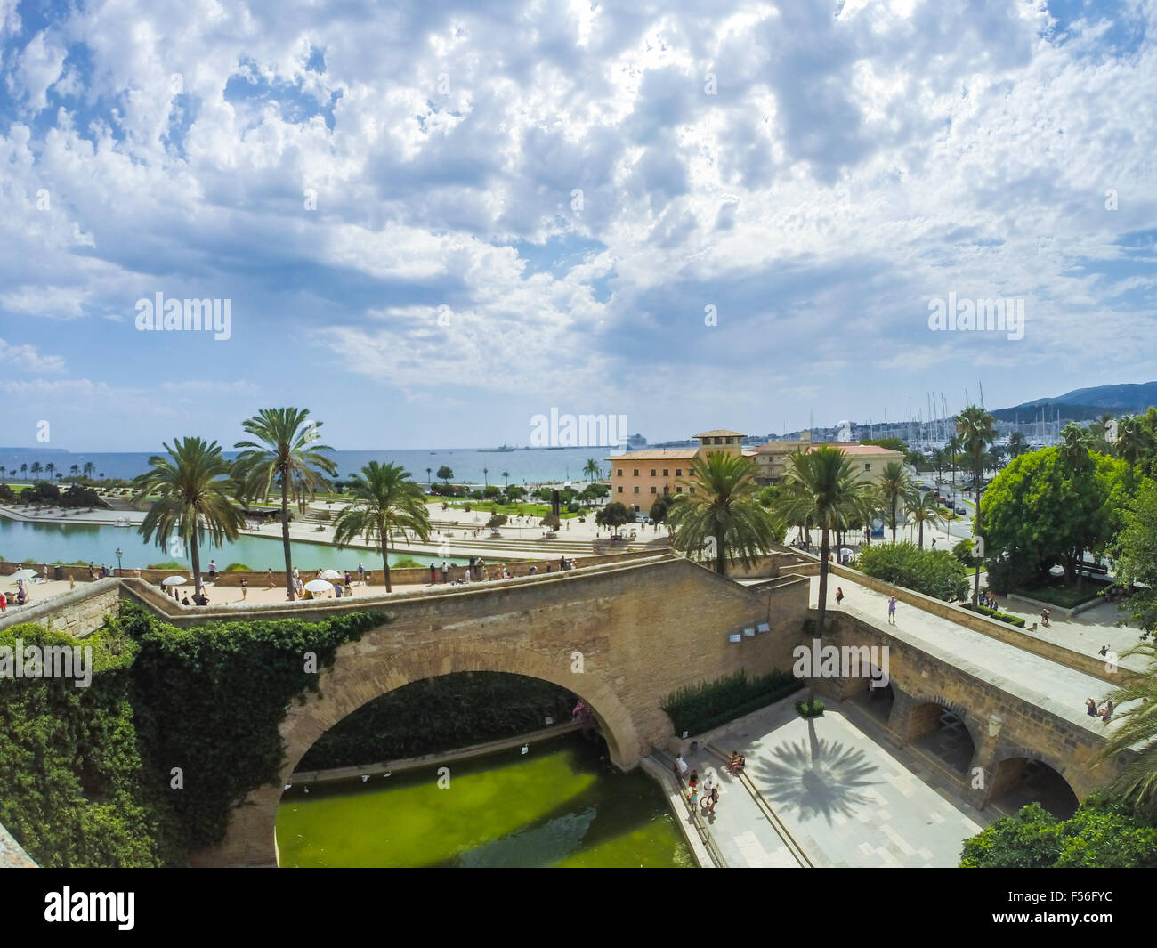 Playa de plama hi-res stock photography and images - Alamy