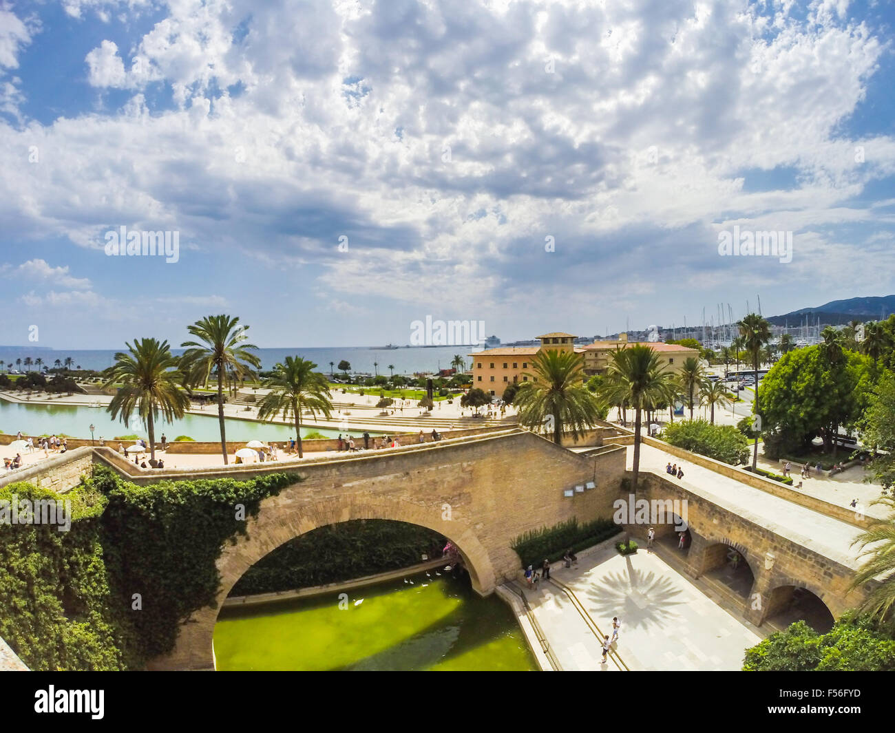 Playa de plama hi-res stock photography and images - Alamy