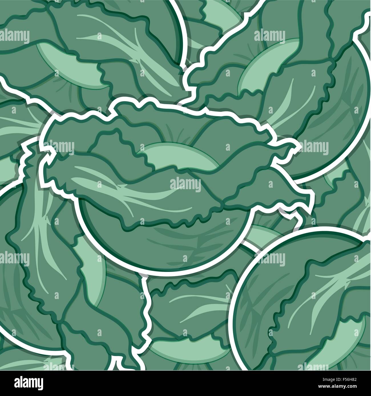 Cabbage background/card in vector format Stock Vector Image & Art - Alamy