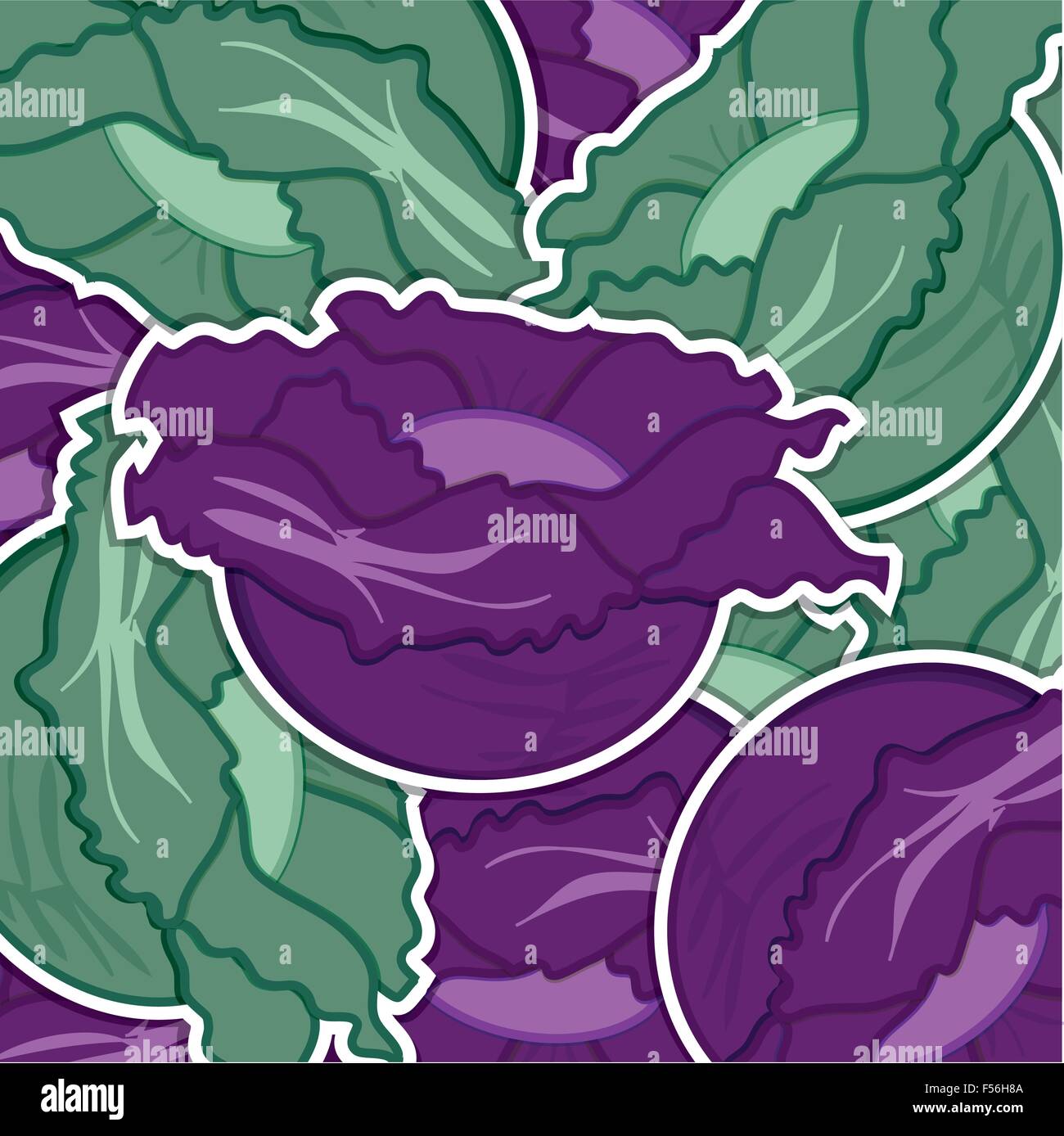 Cabbage background/card in vector format Stock Vector Image & Art - Alamy