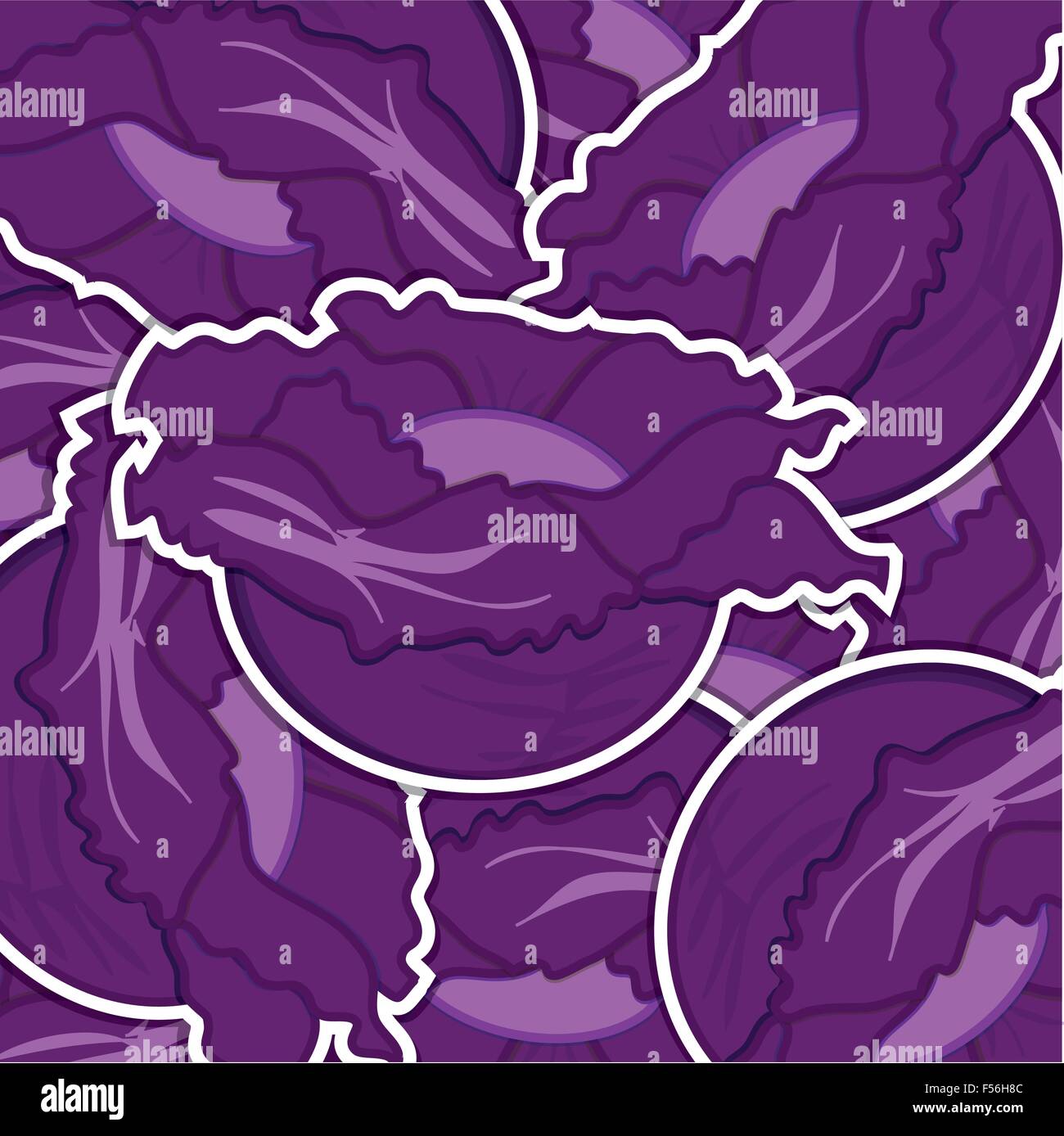 Cabbage background/card in vector format Stock Vector Image & Art - Alamy