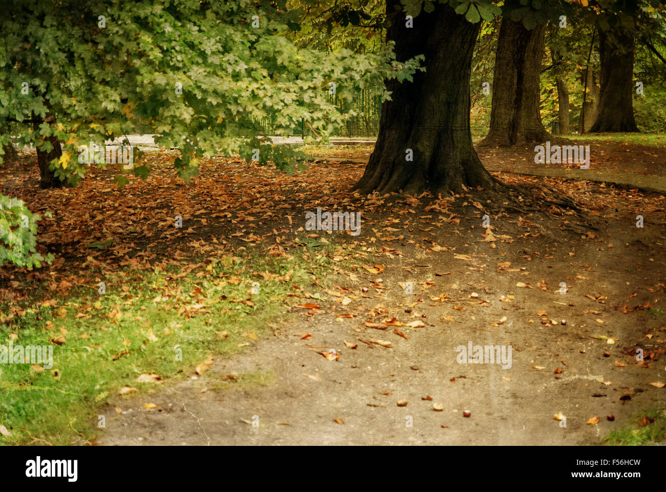 Autumn park, vintage style textured in old color Stock Photo - Alamy