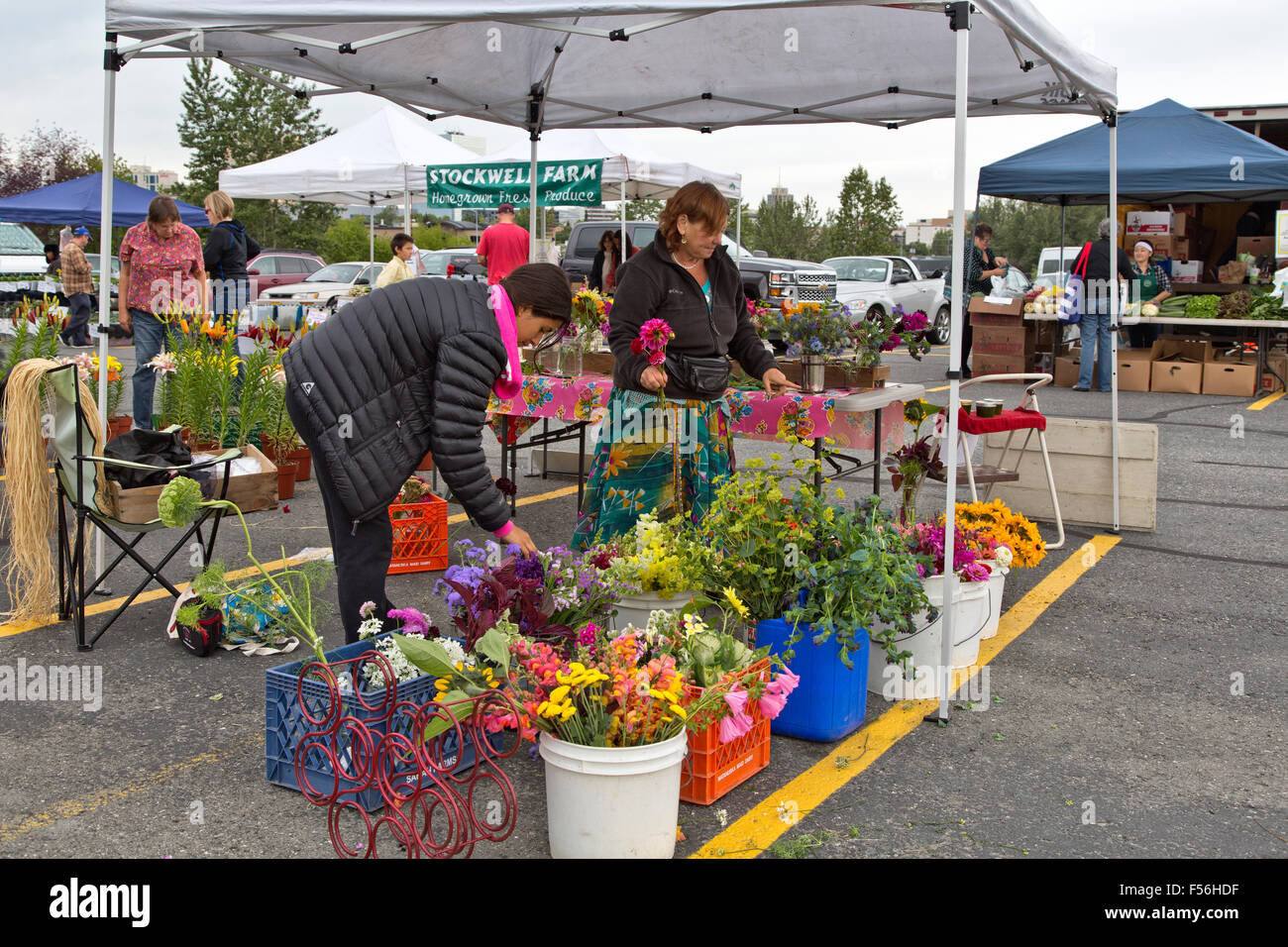 Anchorage Farmer's Market, locally grown cut flower bouquets Stock ...