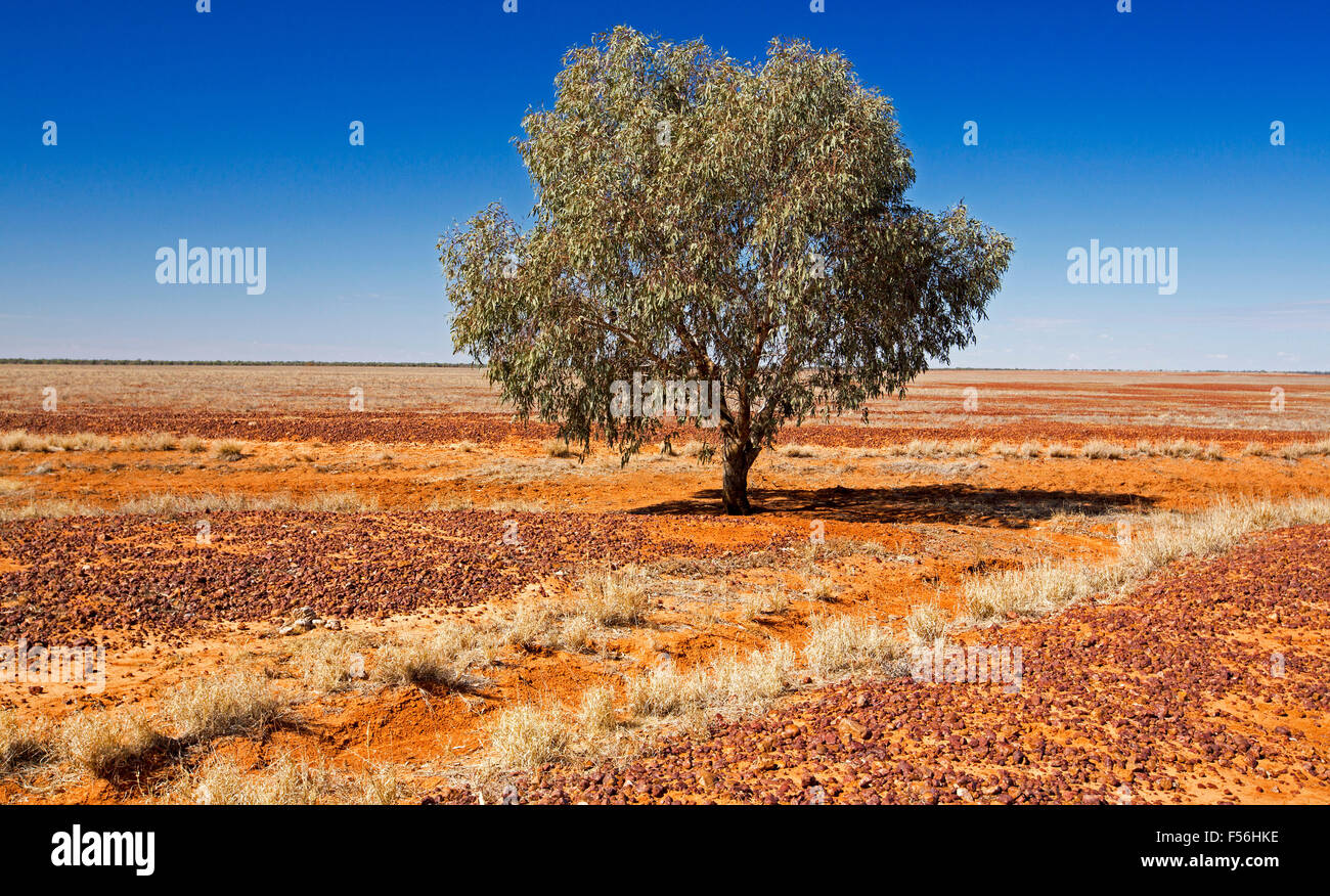 Stony Plains High Resolution Stock Photography and Images - Alamy