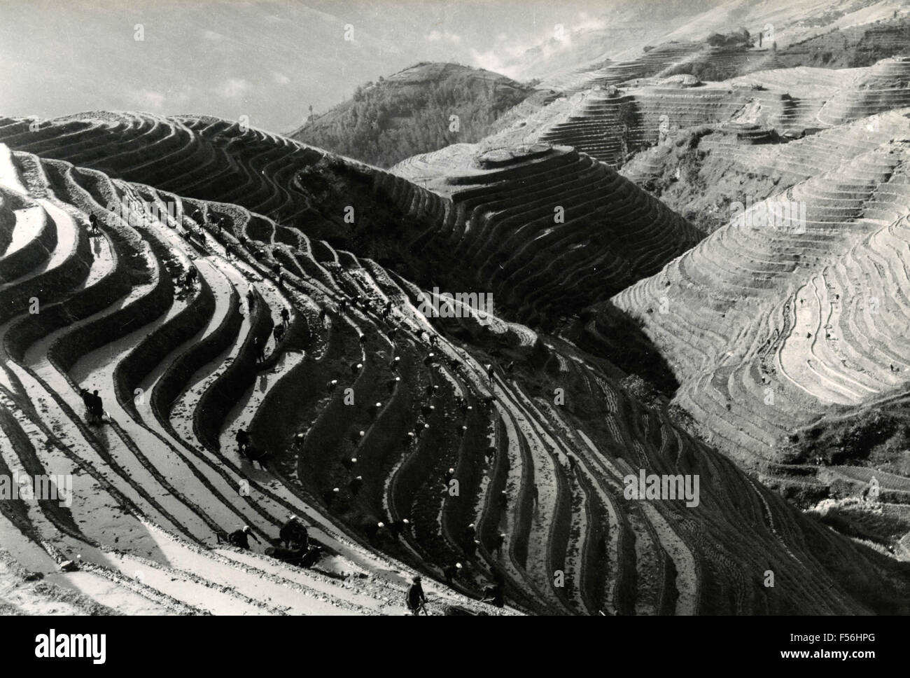 Terraced fields in Lungsheng, Kwangsi, China Stock Photo - Alamy