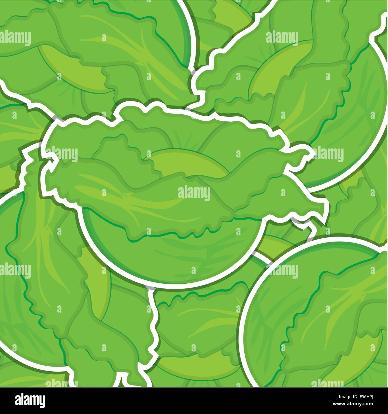 Lettuce sticker background/card in vector format Stock Vector Image ...