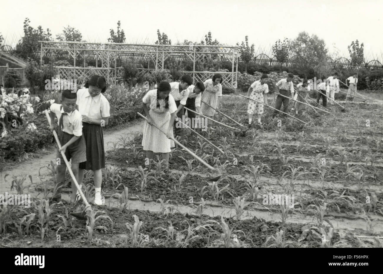 China agriculture 1960 hi-res stock photography and images - Alamy