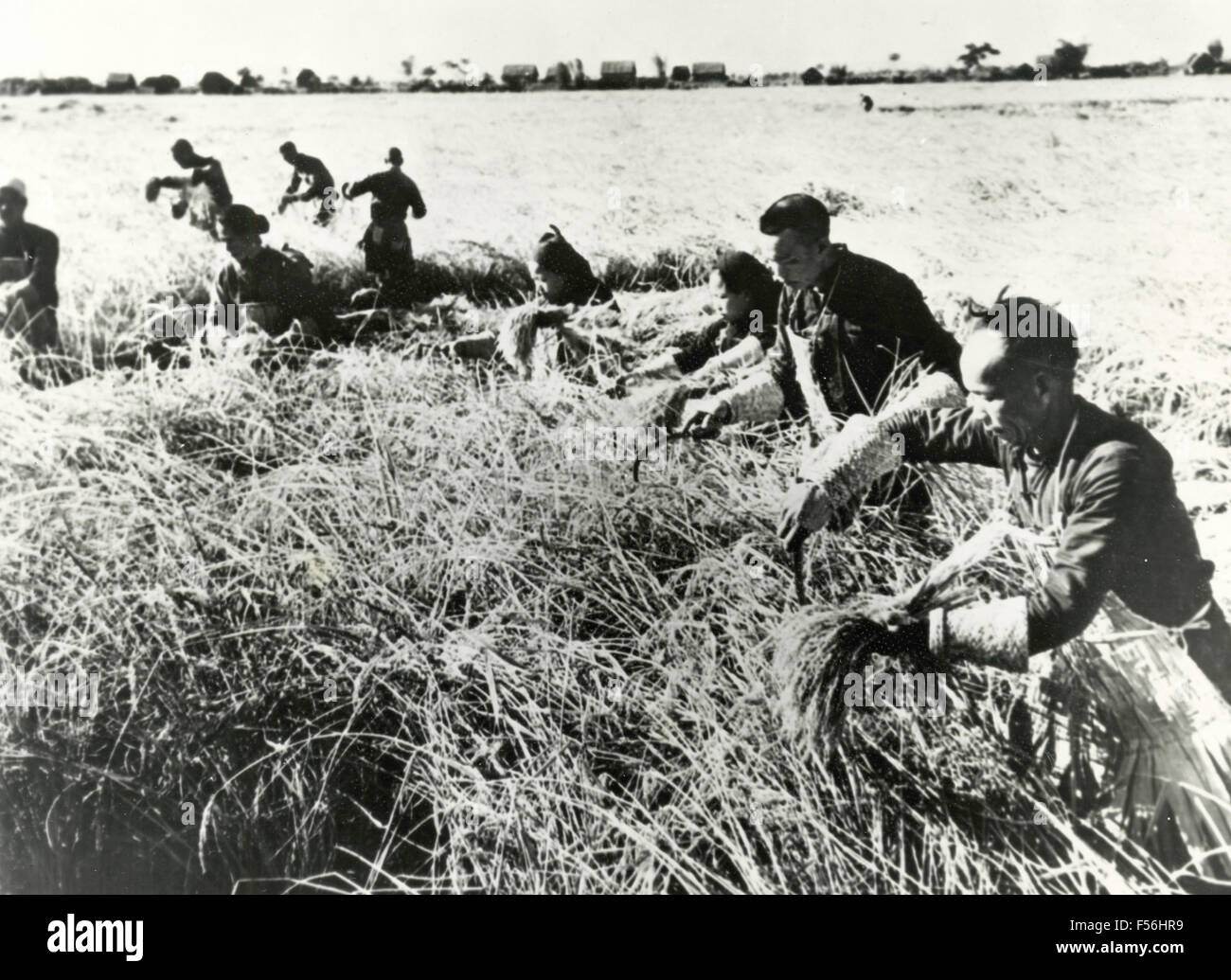 Peasants Working In The Fields High Resolution Stock Photography and ...