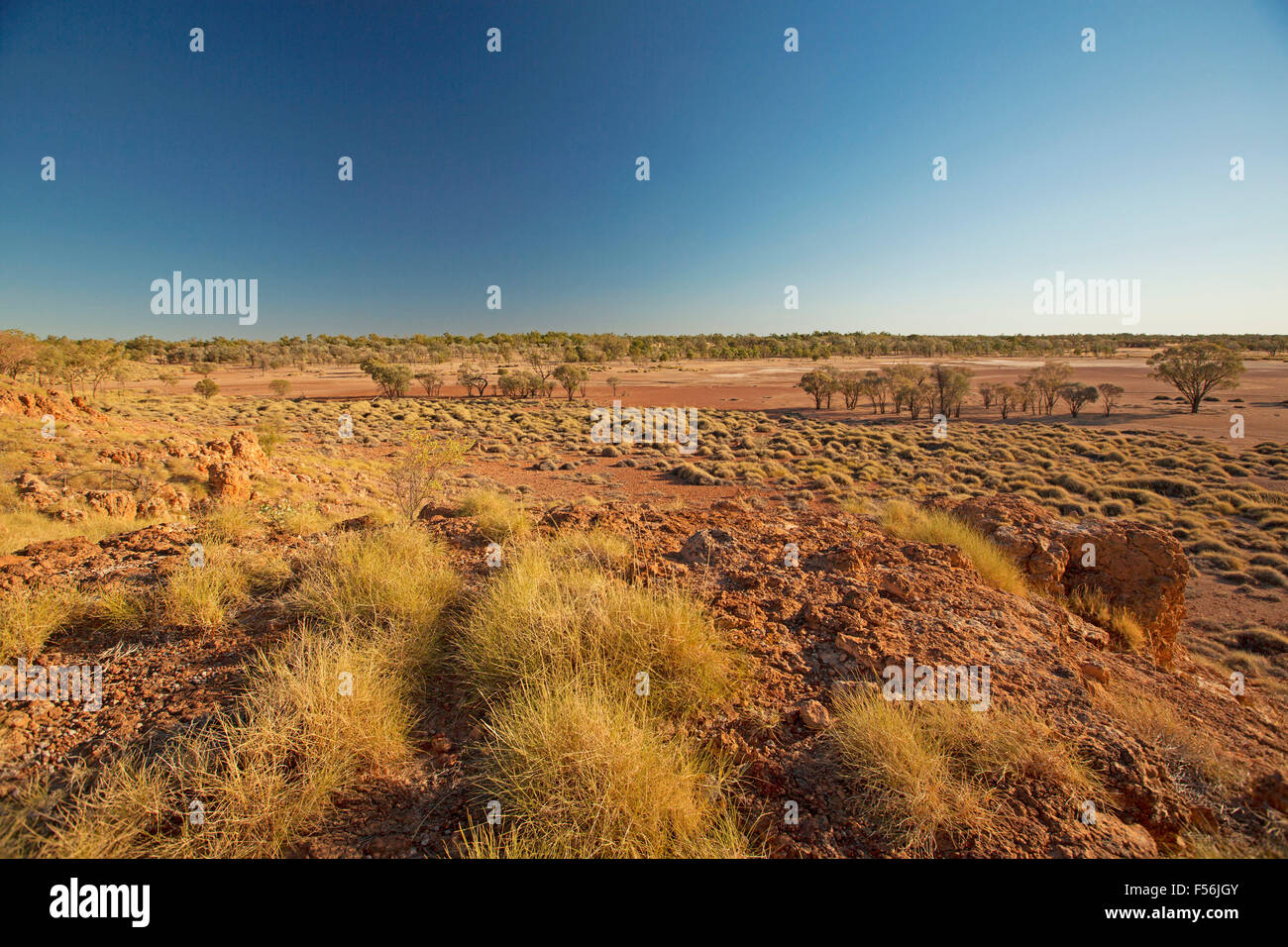 Australia outback grassland grass hi-res stock photography and images ...