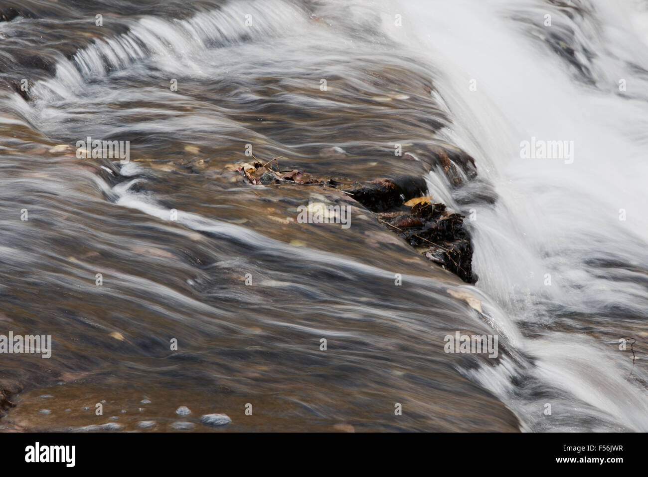 Beautiful pattern in small hi-res stock photography and images - Alamy