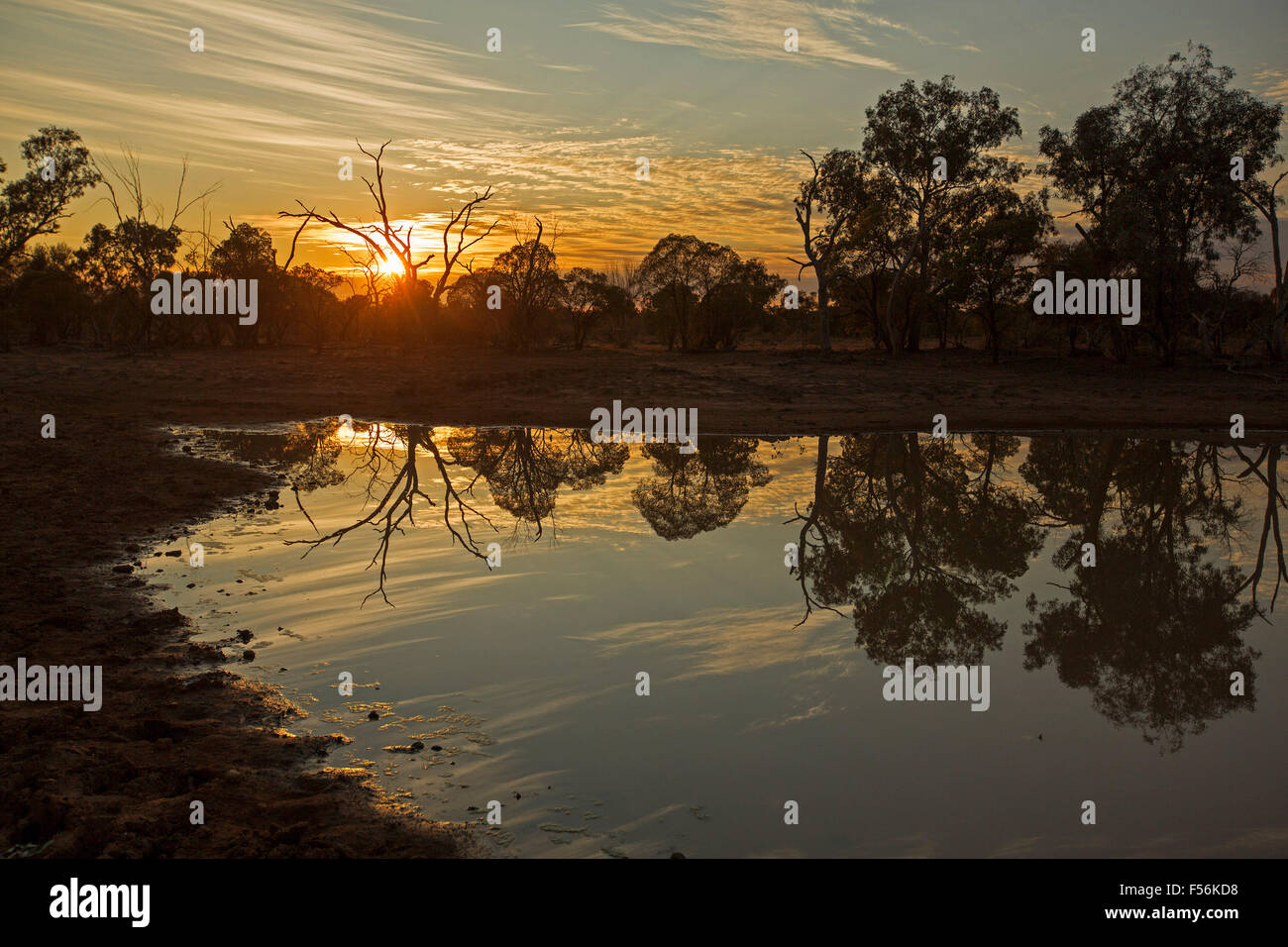 Spectacular sunrise in outback Australia with clouds, golden sky ...