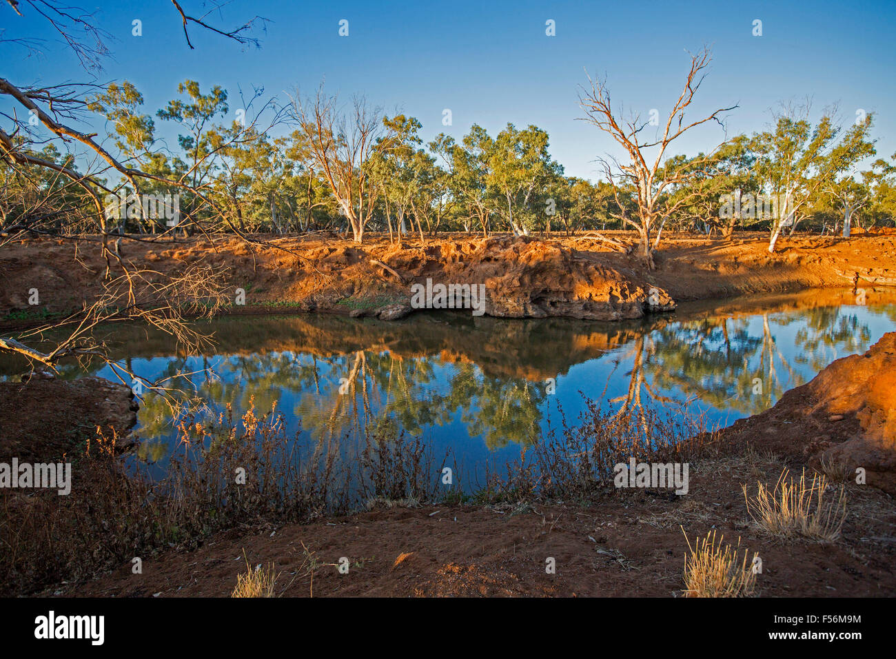 Stunning outback landscape with blue sky & forest of trees reflected in ...