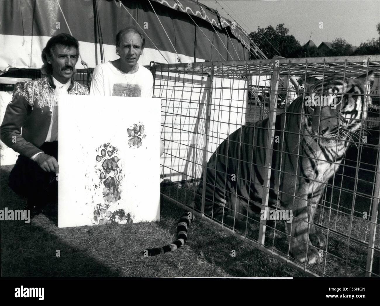1972 - Foot Art Paintings by tigers Animal trainer Jerry Wegmann (left ...