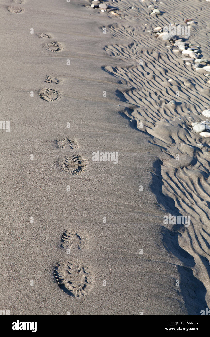 Boot track footprints on a sandy river beach Stock Photo - Alamy