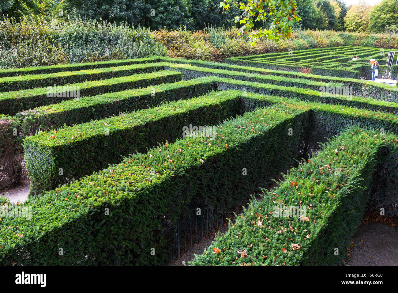 Schonbrunn palace maze vienna hi-res stock photography and images - Alamy