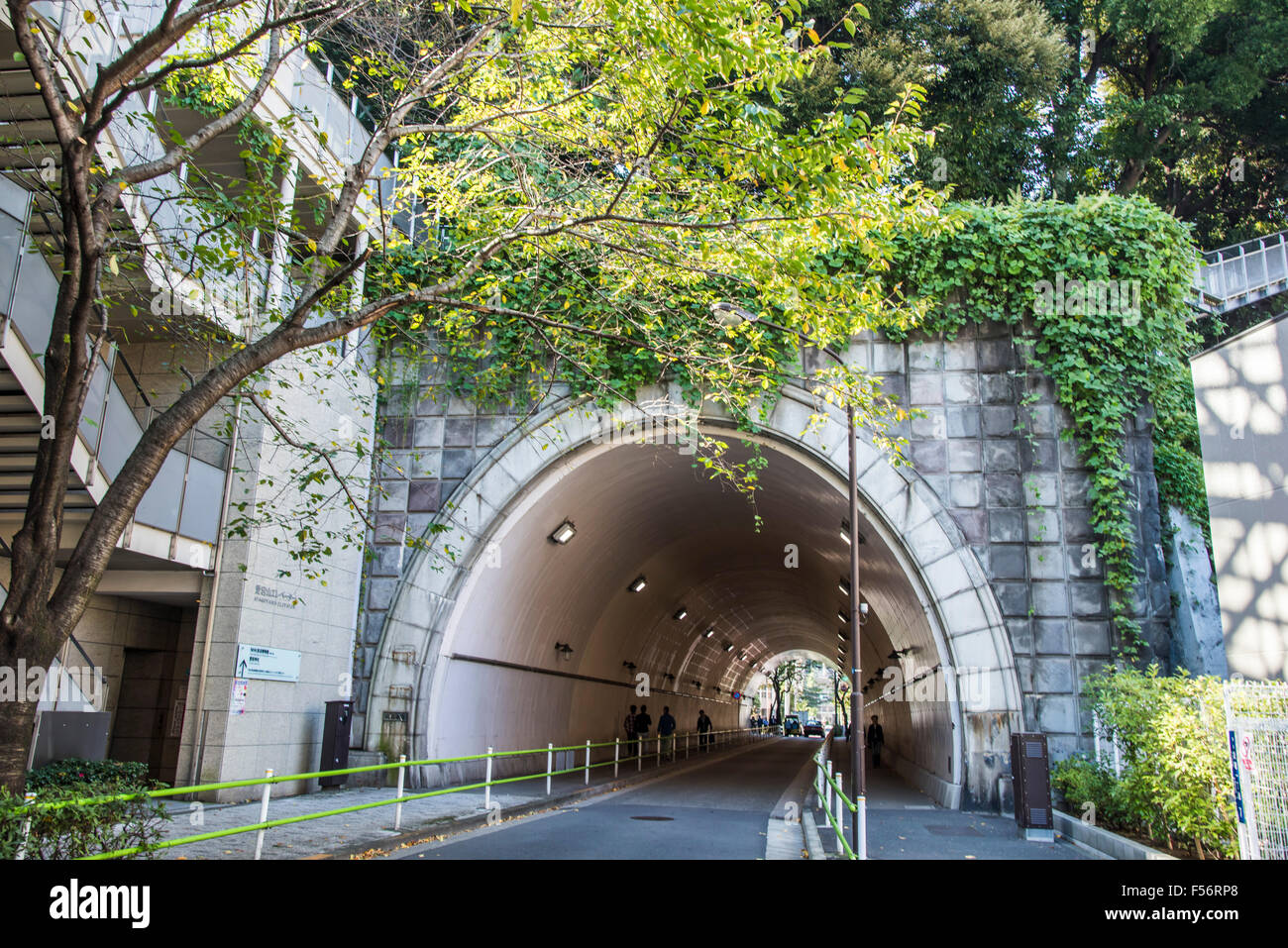 Mt atago hi-res stock photography and images - Alamy