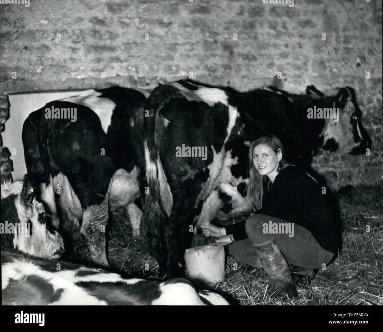 Rita faria miss world hi-res stock photography and images - Alamy