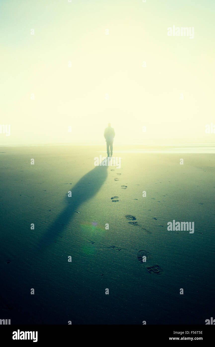 Silhouettes people walking into light hi-res stock photography and ...