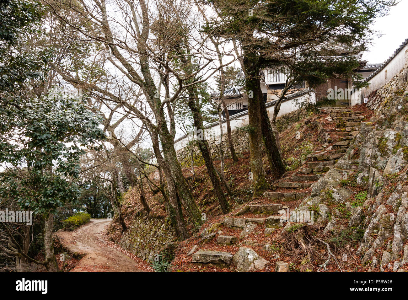 Japan, Takahashi. Bitchu Matsuyama castle. Stone stepped narrow path ...