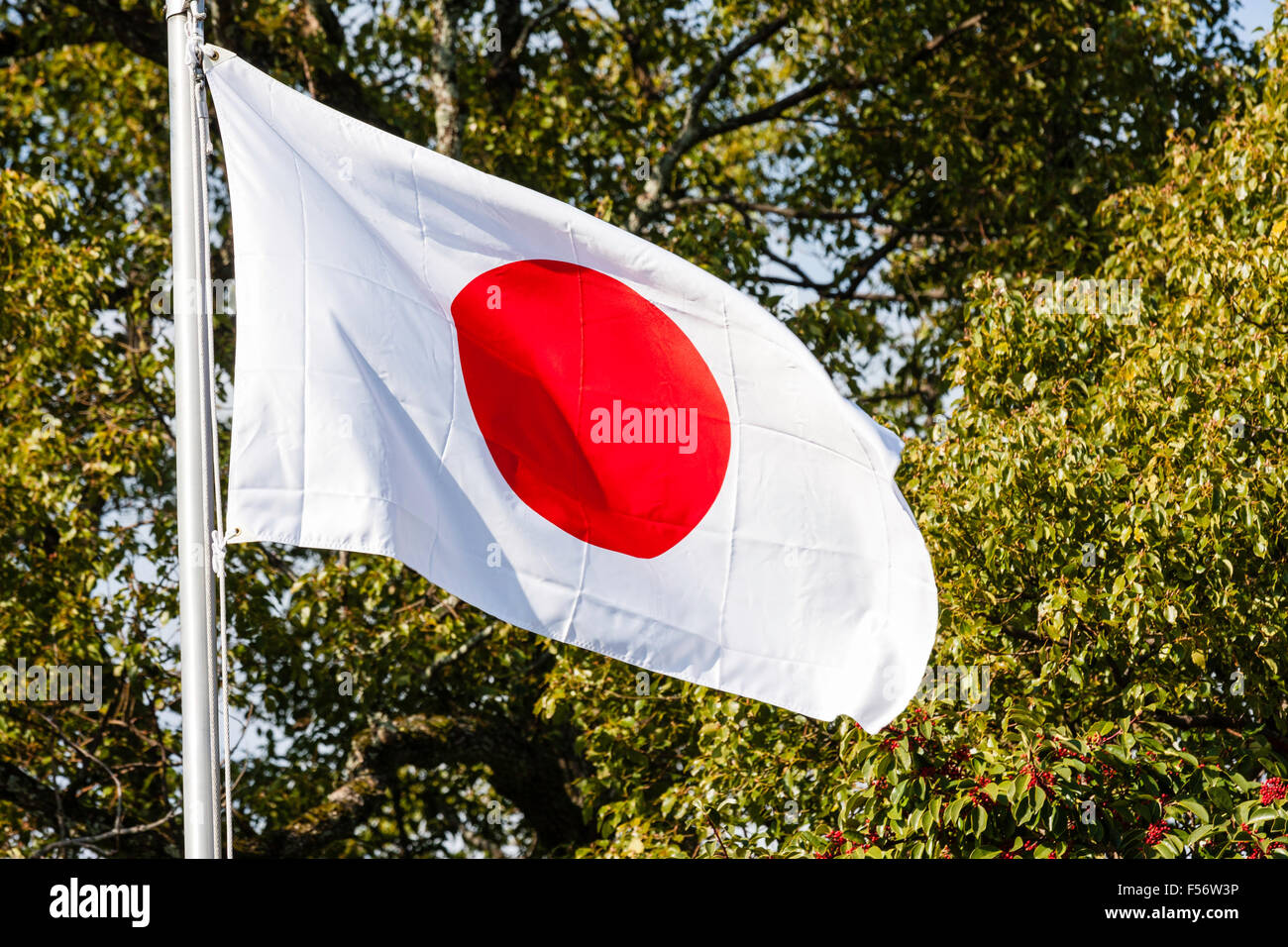 Japanese rising sun symbol hi-res stock photography and images - Alamy