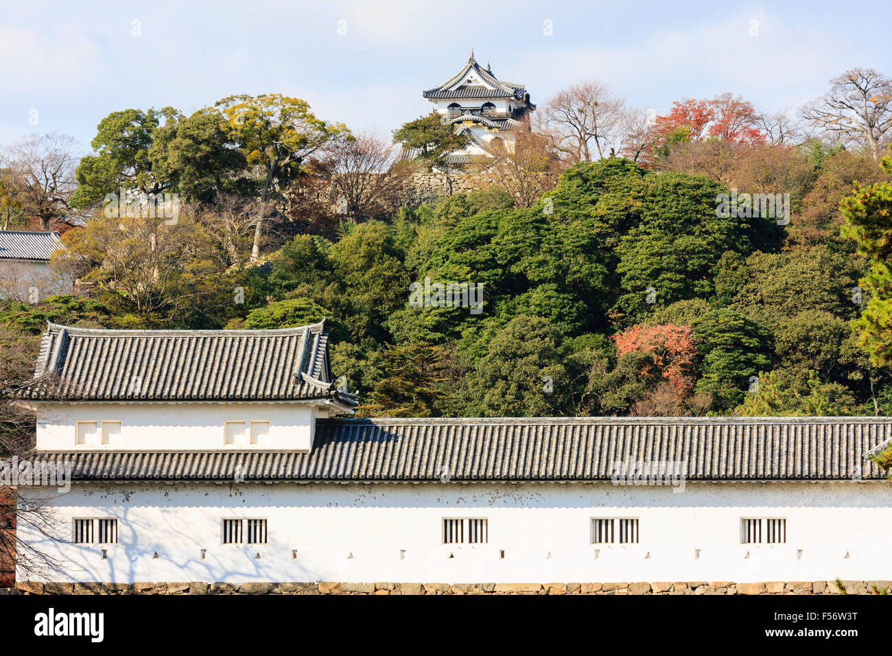 Japan, Hikone castle. The Sawaguchi Yagura, tower, white plaster walls ...