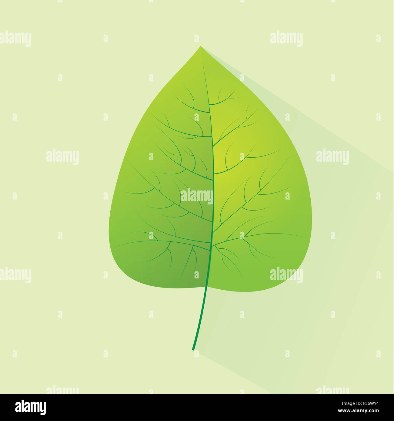 Green Leave Eco Flat Icon Logo Vector Stock Vector Image & Art - Alamy